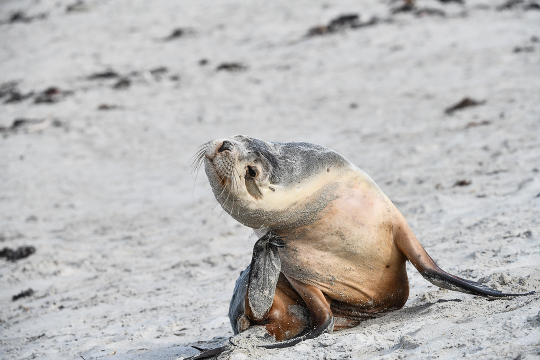 ROBBEN (AUS) - ROBERT STYPPA - PHOTOGRAPHY